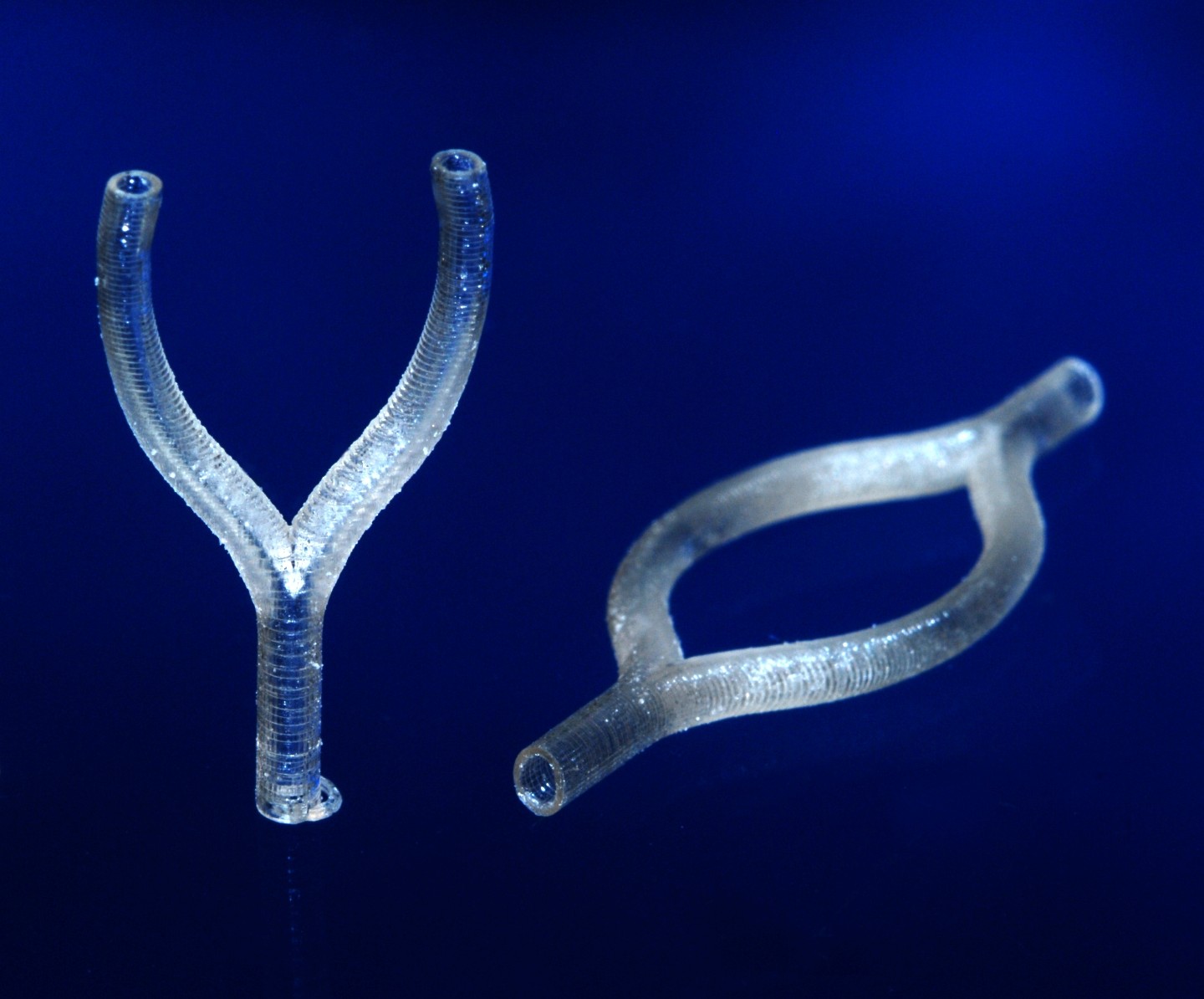 Printable Biomaterials