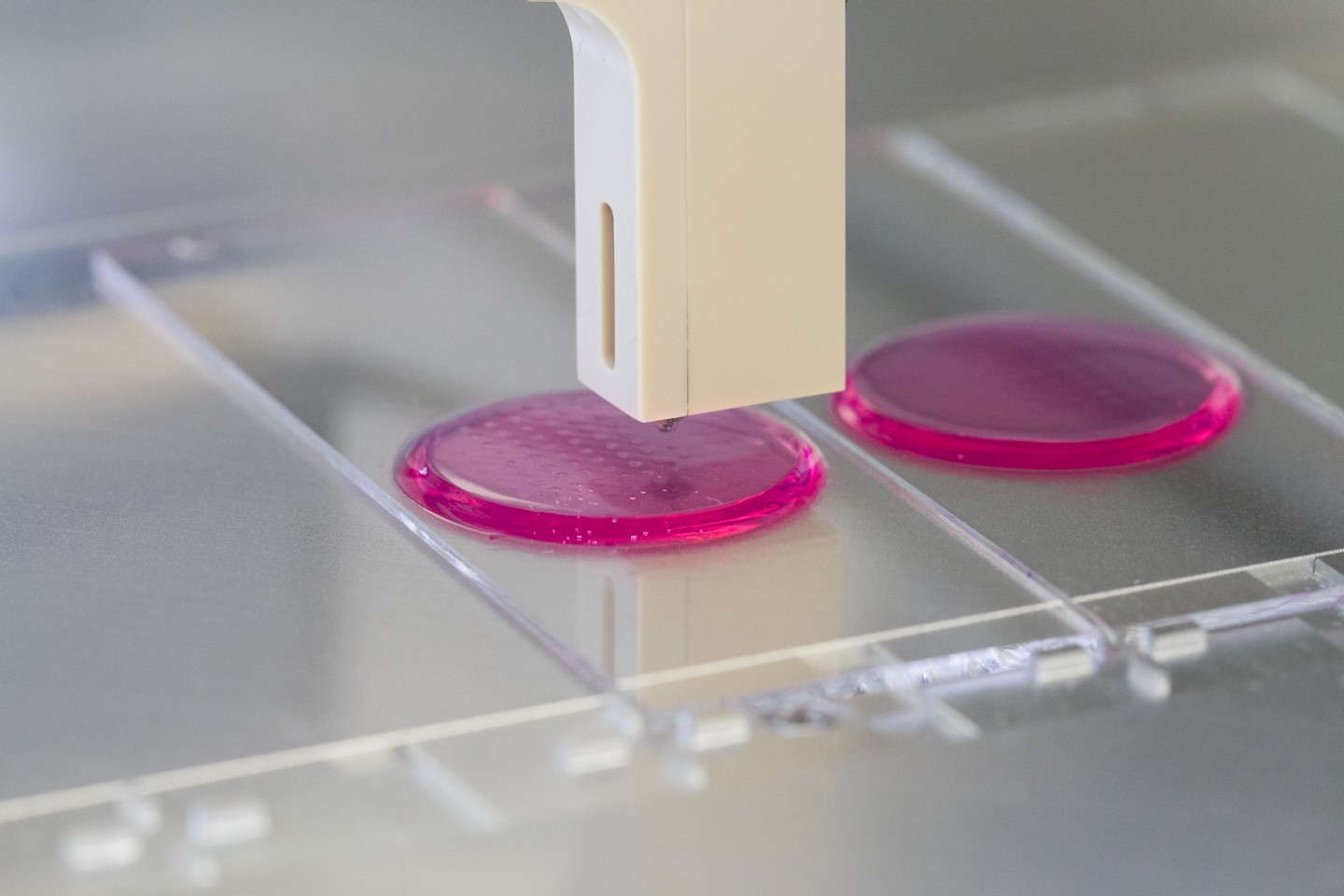 Printable Biomaterials